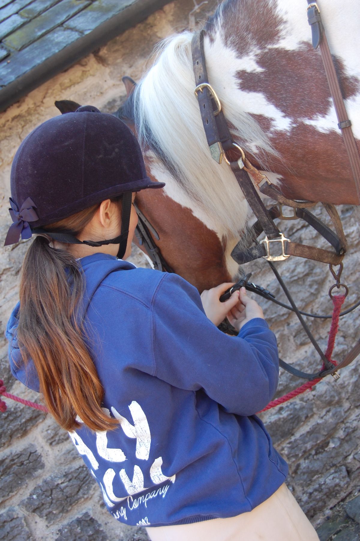 Equine Apprenticeships - Witherslack Riding School