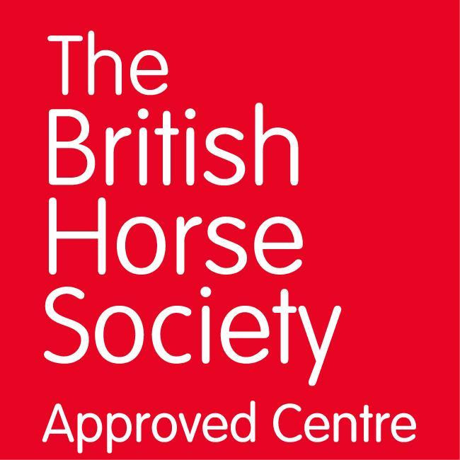 Education & Training - Witherslack Riding School